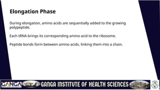 PROTEIN SYNTHESIS / protein synthesis.pptx