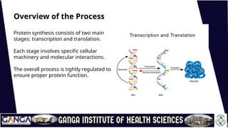 PROTEIN SYNTHESIS / protein synthesis.pptx