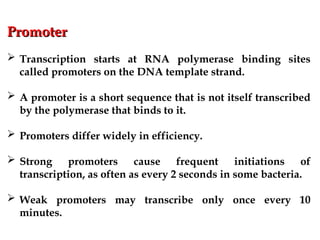 Protein synthesis1111111111111111111.ppt