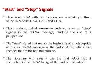 Protein synthesis1111111111111111111.ppt