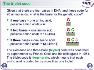 Protein synthesis Protein synthesis Protein synthesis | PPT