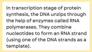 Protein Synthesis---- for Science 10.pdf