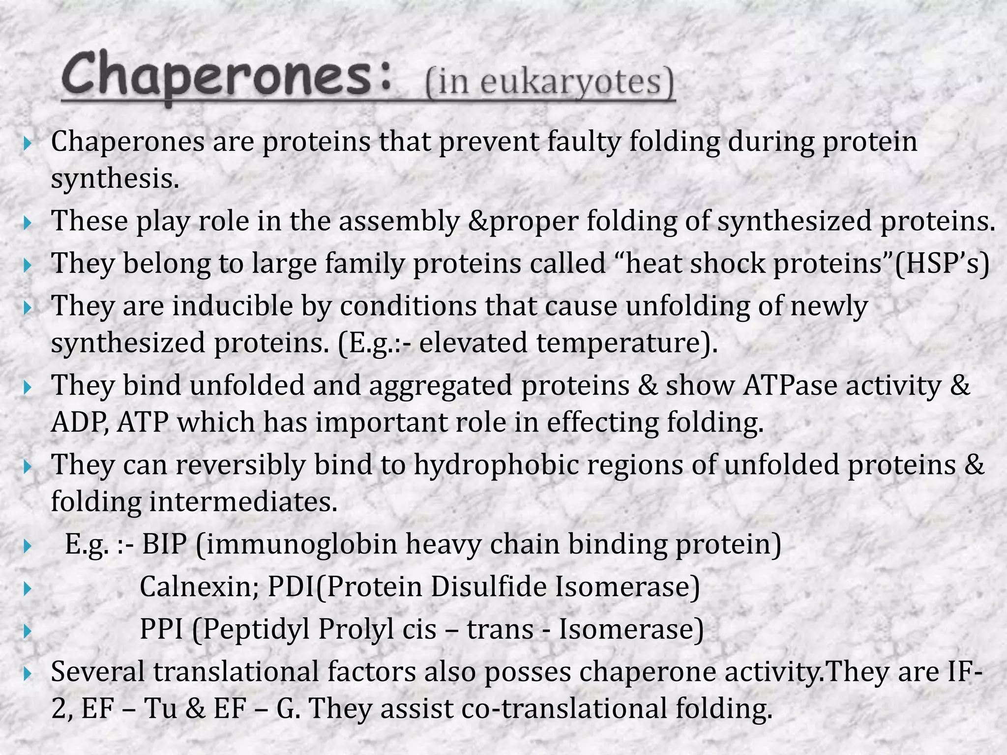 Protein synthesis 2 | PPTX