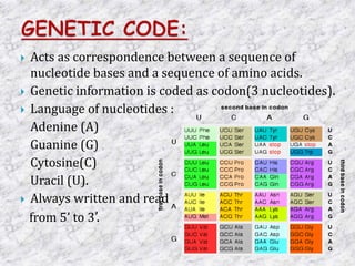 Protein synthesis 2 | PPTX