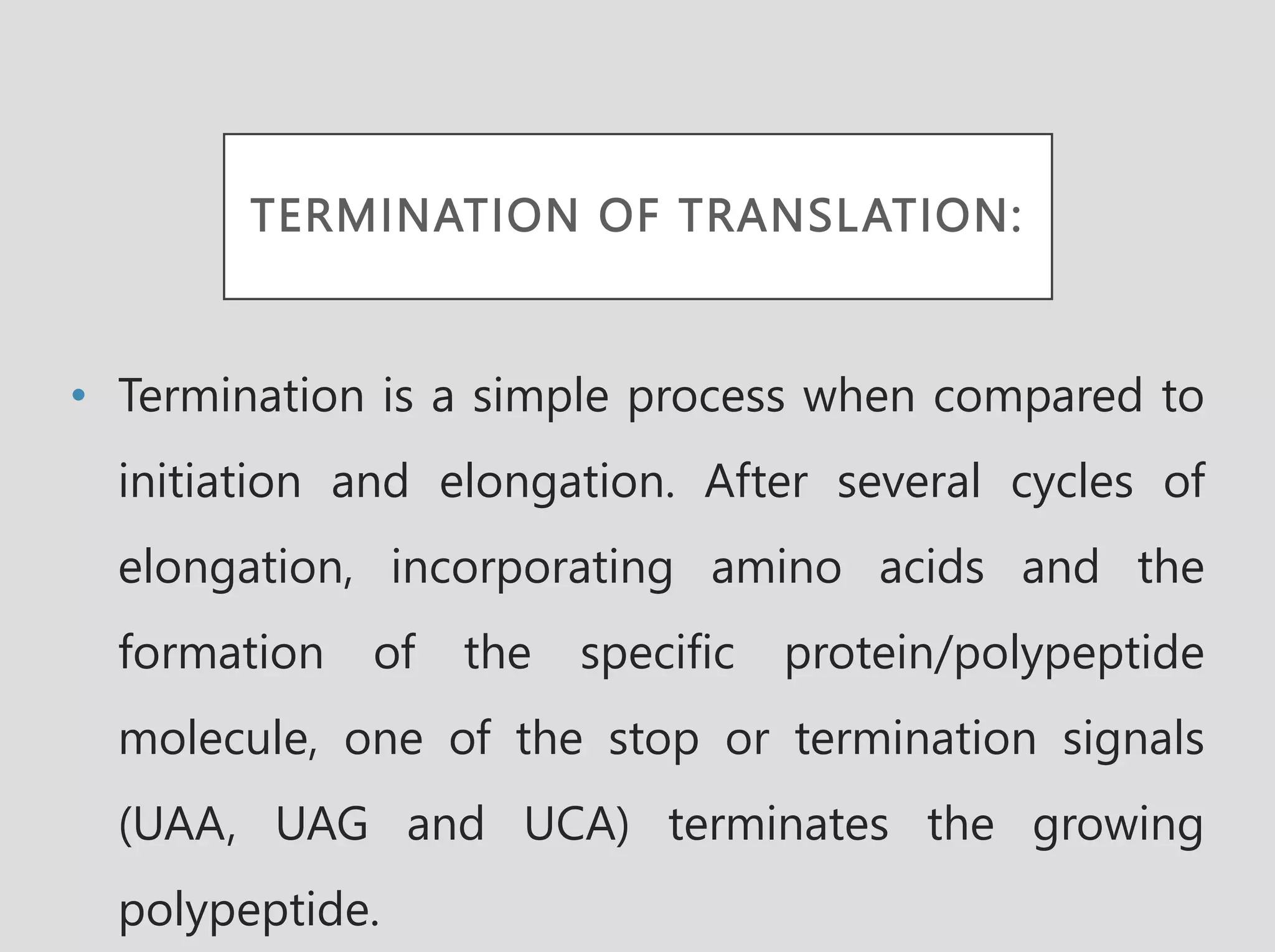 protein synthesis biochem.ppt