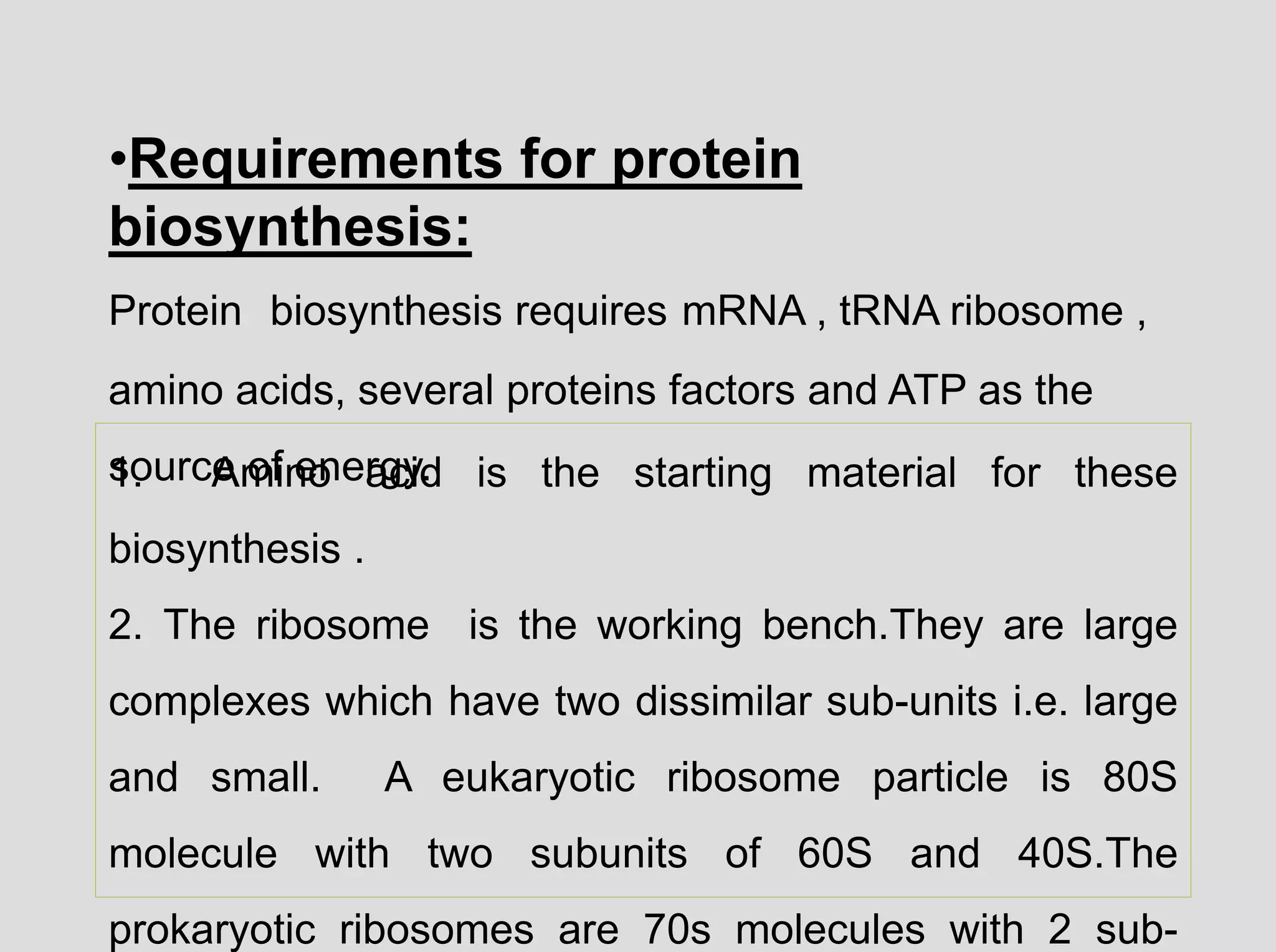 protein synthesis biochem.ppt