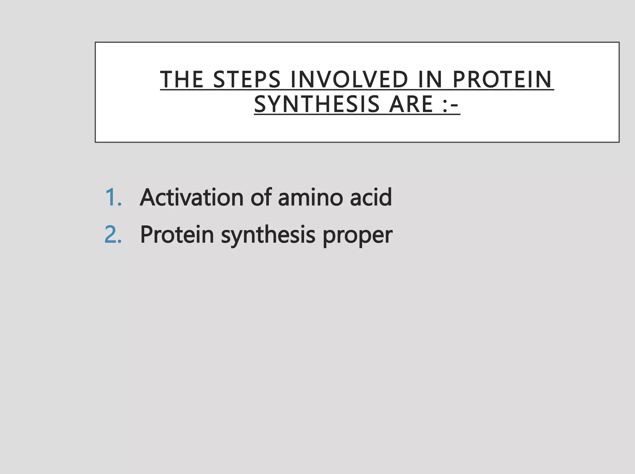 protein synthesis biochem.ppt