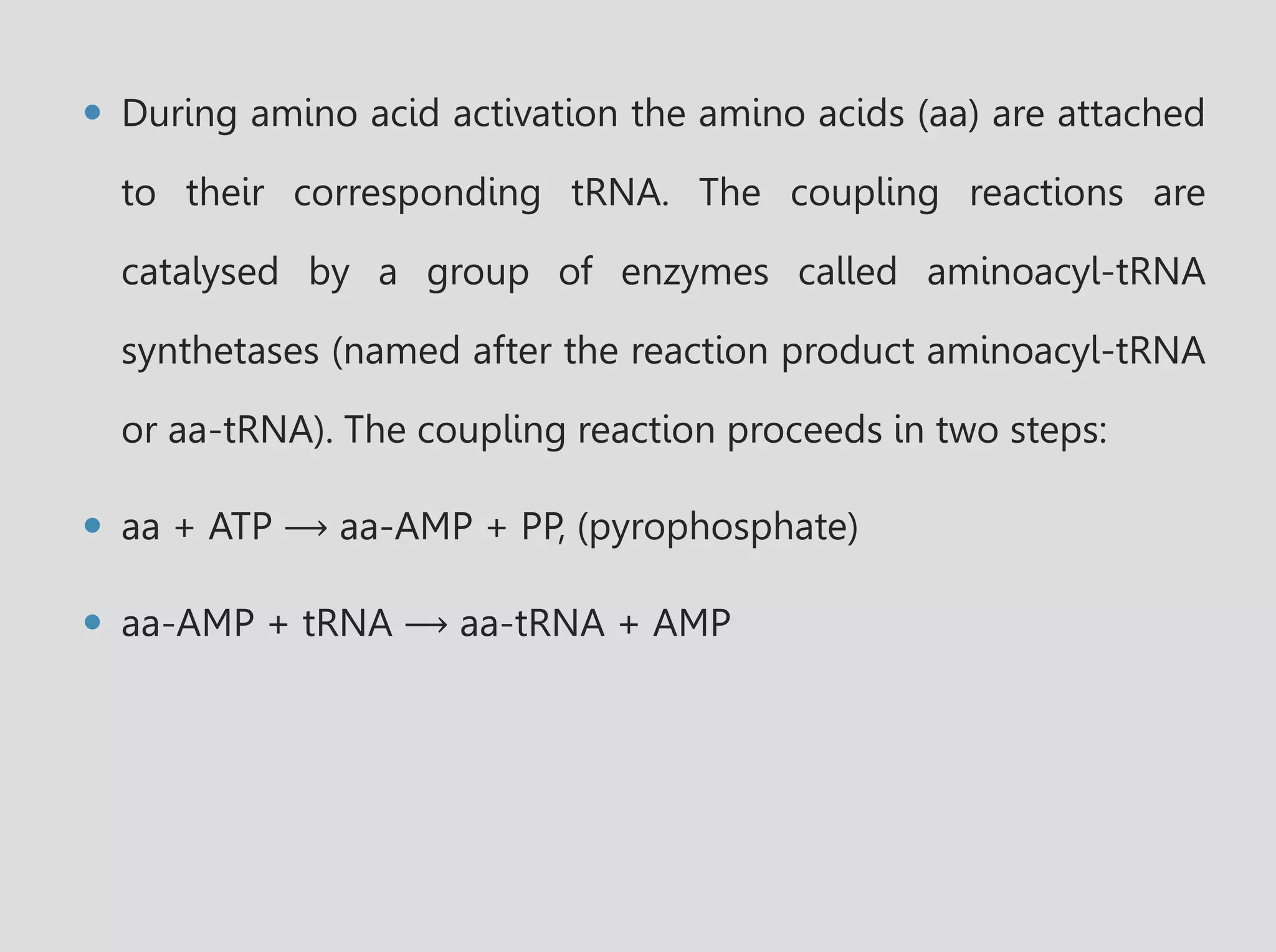 protein synthesis biochem.ppt