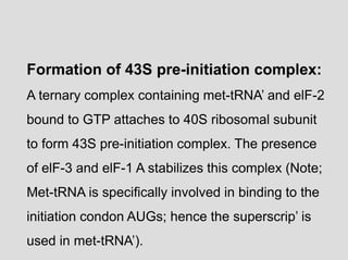 protein synthesis biochem.ppt