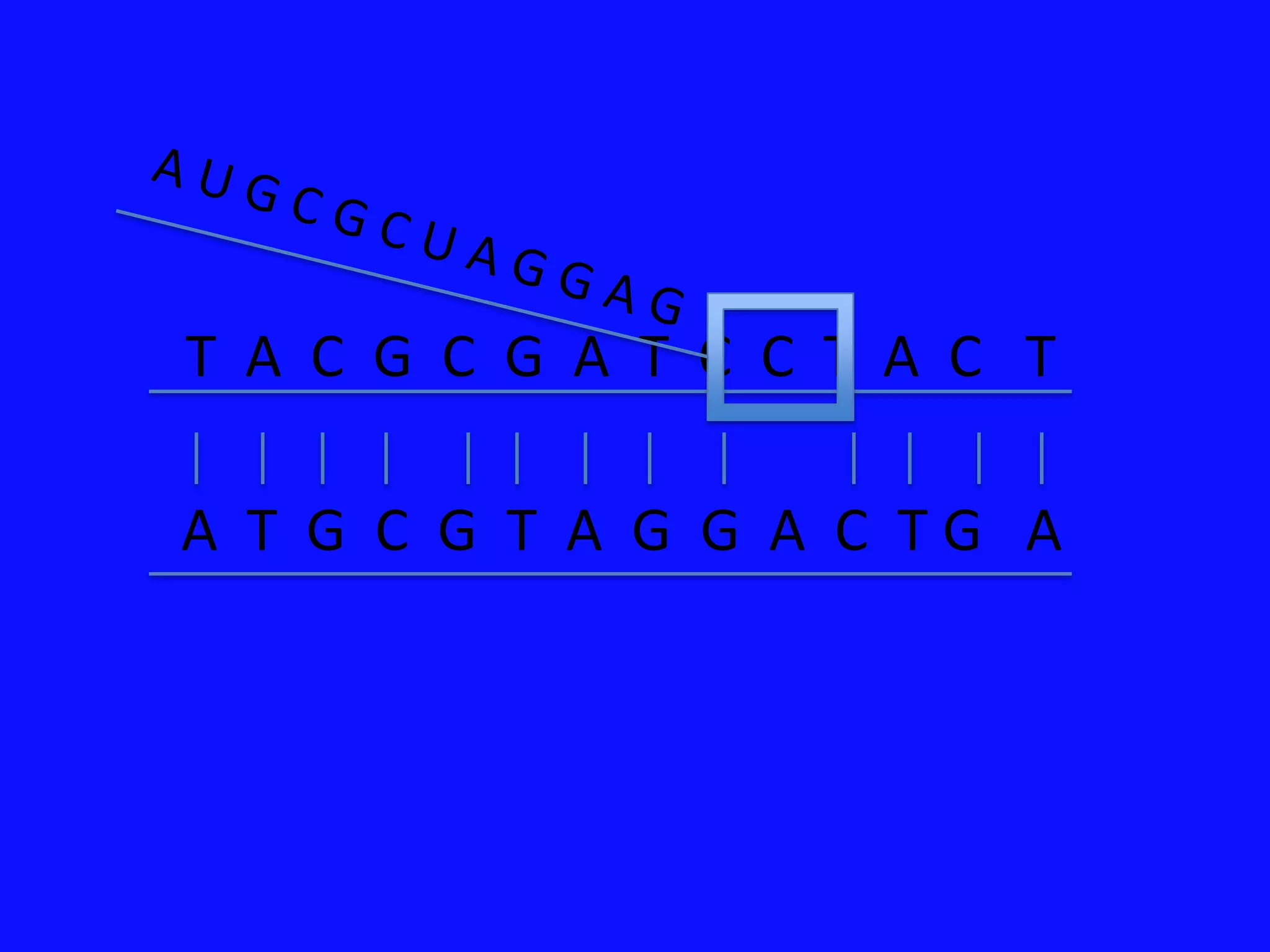 Protein synthesis dna rna flipbook_jw | PPTX