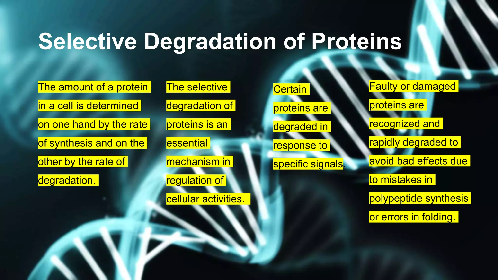 Protein Synthesis final.pptx