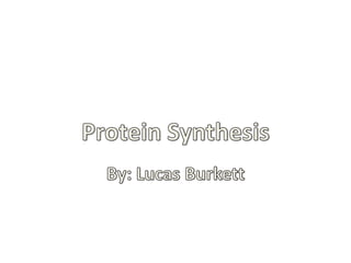 Protein synthesis flip_book | PPT
