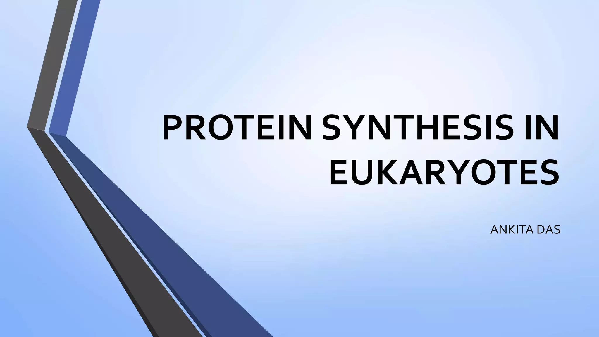 PROTEIN SYNTHESIS IN EUKARYOTES.pptx | Biological Sciences | Science