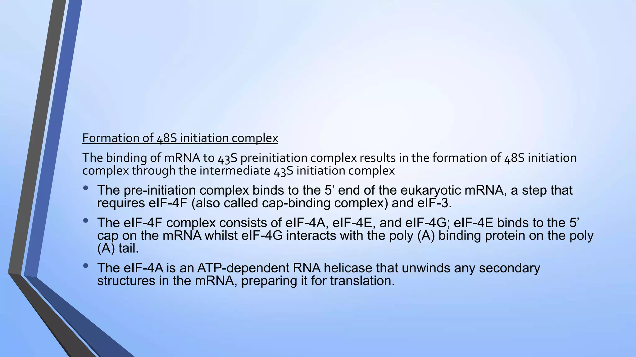 PROTEIN SYNTHESIS IN EUKARYOTES.pptx | Biological Sciences | Science