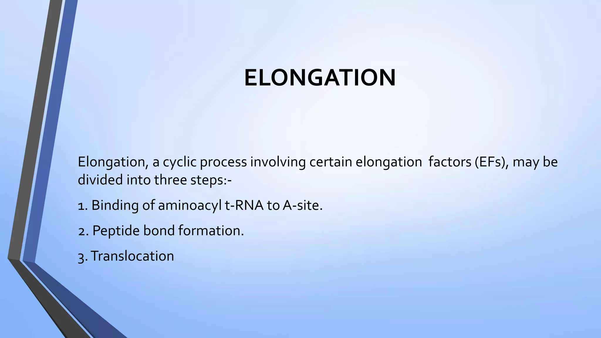 PROTEIN SYNTHESIS IN EUKARYOTES.pptx | Biological Sciences | Science