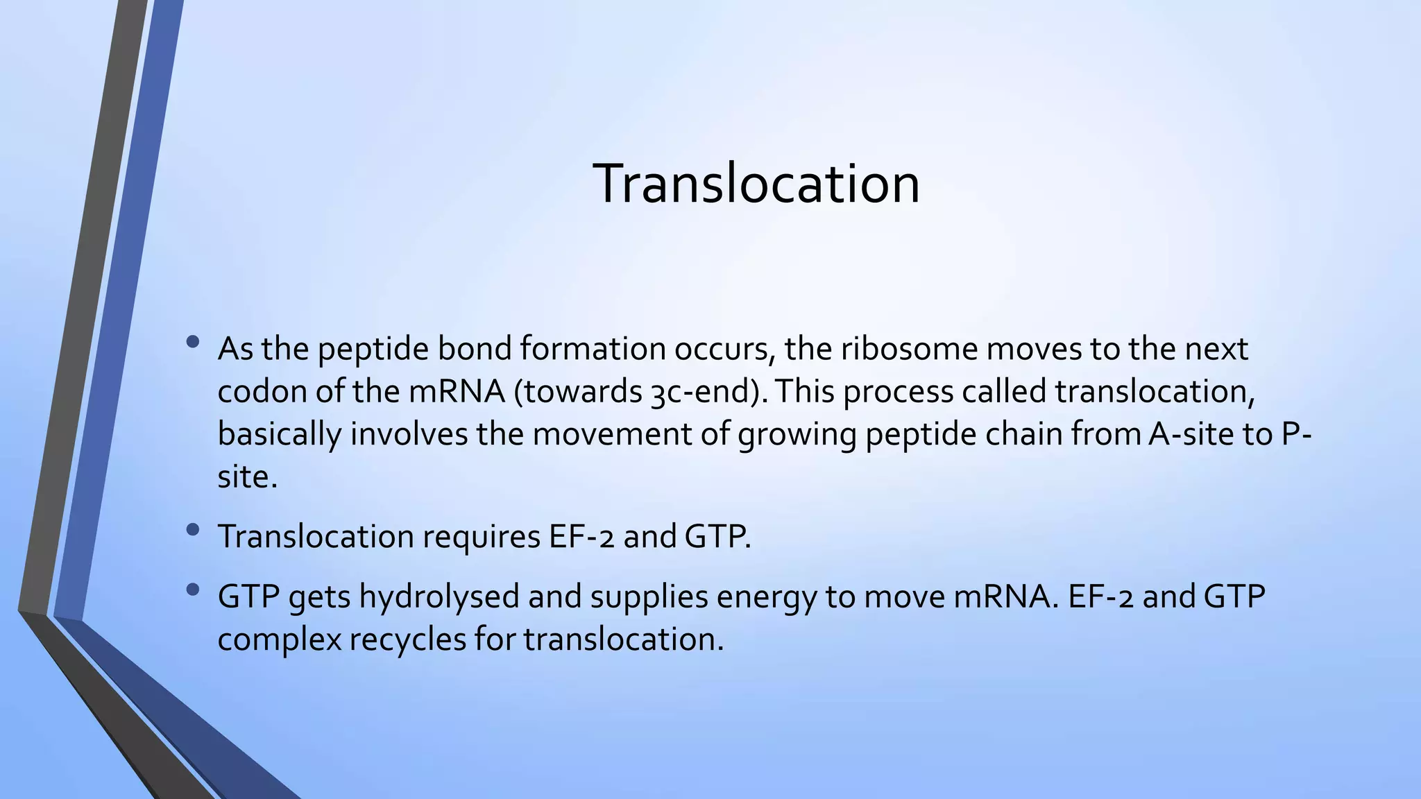 PROTEIN SYNTHESIS IN EUKARYOTES.pptx | Biological Sciences | Science