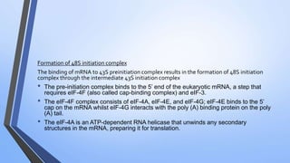 PROTEIN SYNTHESIS IN EUKARYOTES.pptx