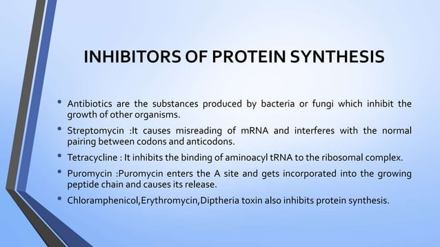 PROTEIN SYNTHESIS IN EUKARYOTES.pptx | Biological Sciences | Science
