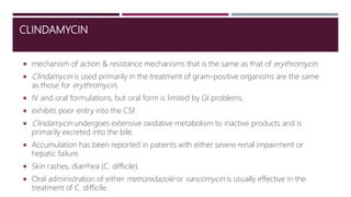 Protein synthesis inhibitor antibiotics | PPTX