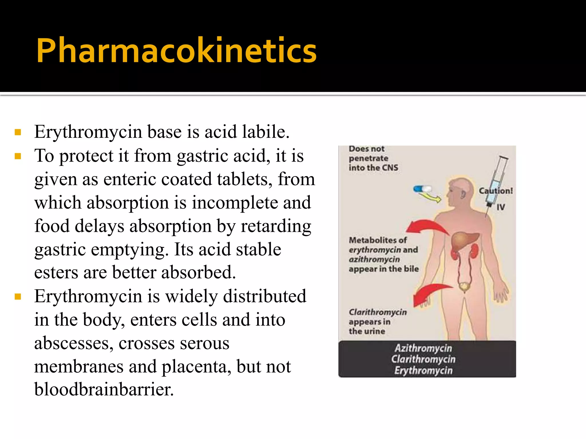 Protein synthesis inhibitors | PPT