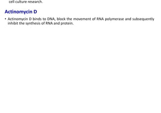 protein synthesis inhibitors .pdf
