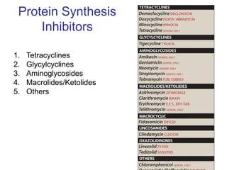 Protein Synthesis Inhibitors antibiotics .pptx