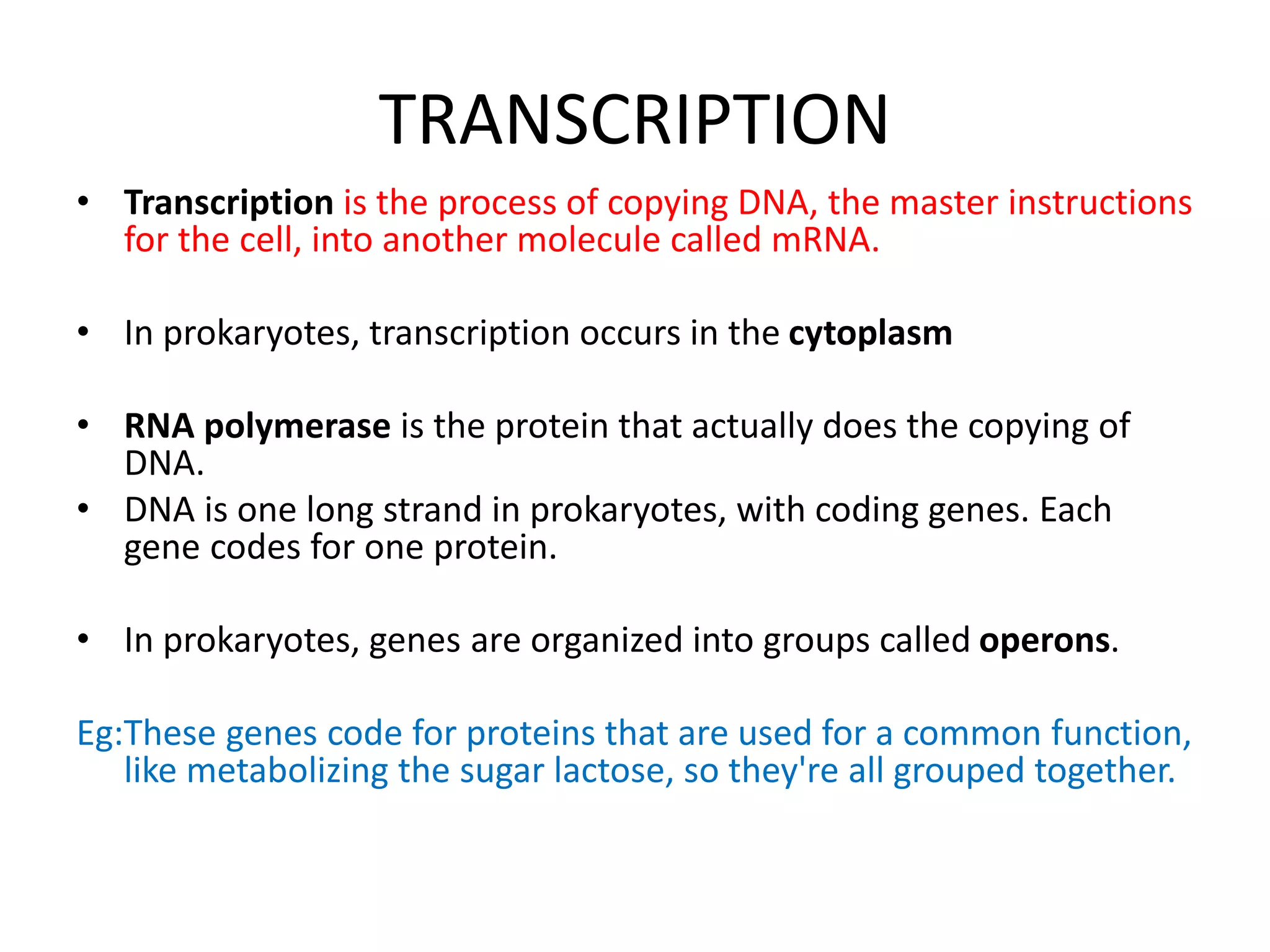 protein synthesis in prokaryotes.pptx