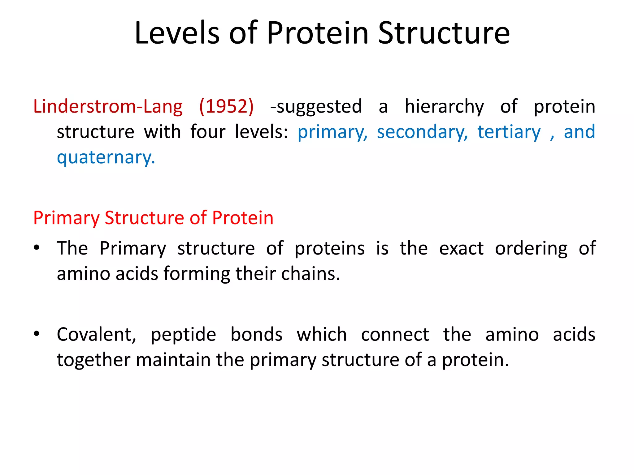 protein synthesis in prokaryotes.pptx