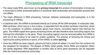 Protein Synthesis in Prokaryotes and Eukaroytes | PPTX