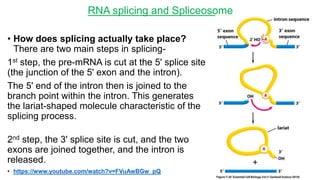 Protein Synthesis in Prokaryotes and Eukaroytes | PPTX