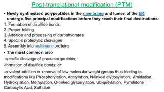 Protein Synthesis in Prokaryotes and Eukaroytes | PPTX