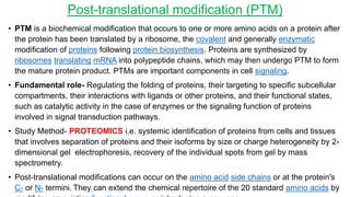 Protein Synthesis in Prokaryotes and Eukaroytes | PPTX