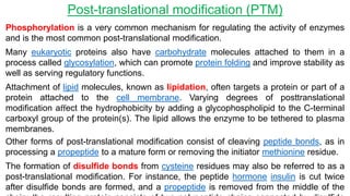 Protein Synthesis in Prokaryotes and Eukaroytes | PPTX