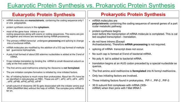 Protein Synthesis in Prokaryotes and Eukaroytes