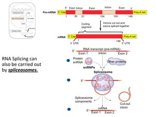Protein synthesis mechanism with reference of Translation and ...