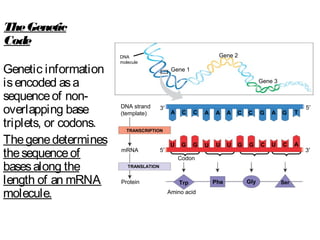 Protein synthesis mechanism with reference of Translation and ...