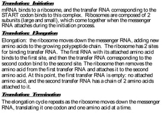Protein synthesis mechanism with reference of Translation and ...