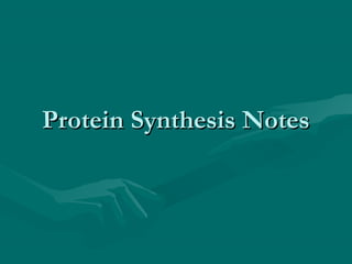 Protein Synthesis Notes | PPT