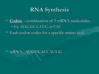 Protein Synthesis Notes | PPT