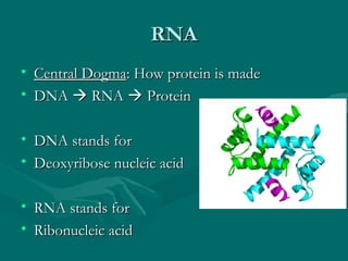 Protein Synthesis Notes | PPT