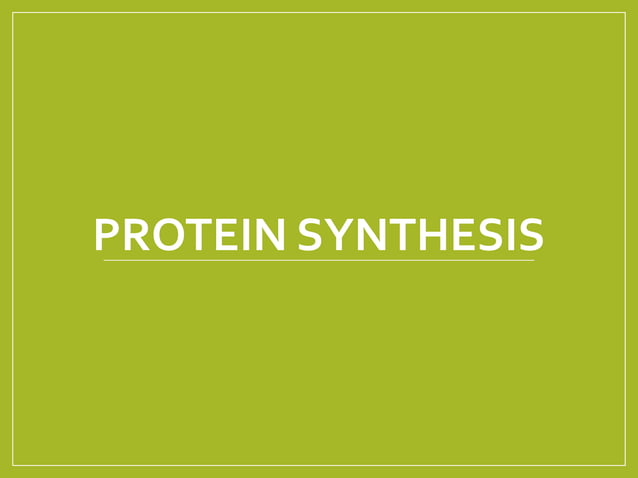 Protein Synthesis PPT.pptx | Programming Languages | Computing