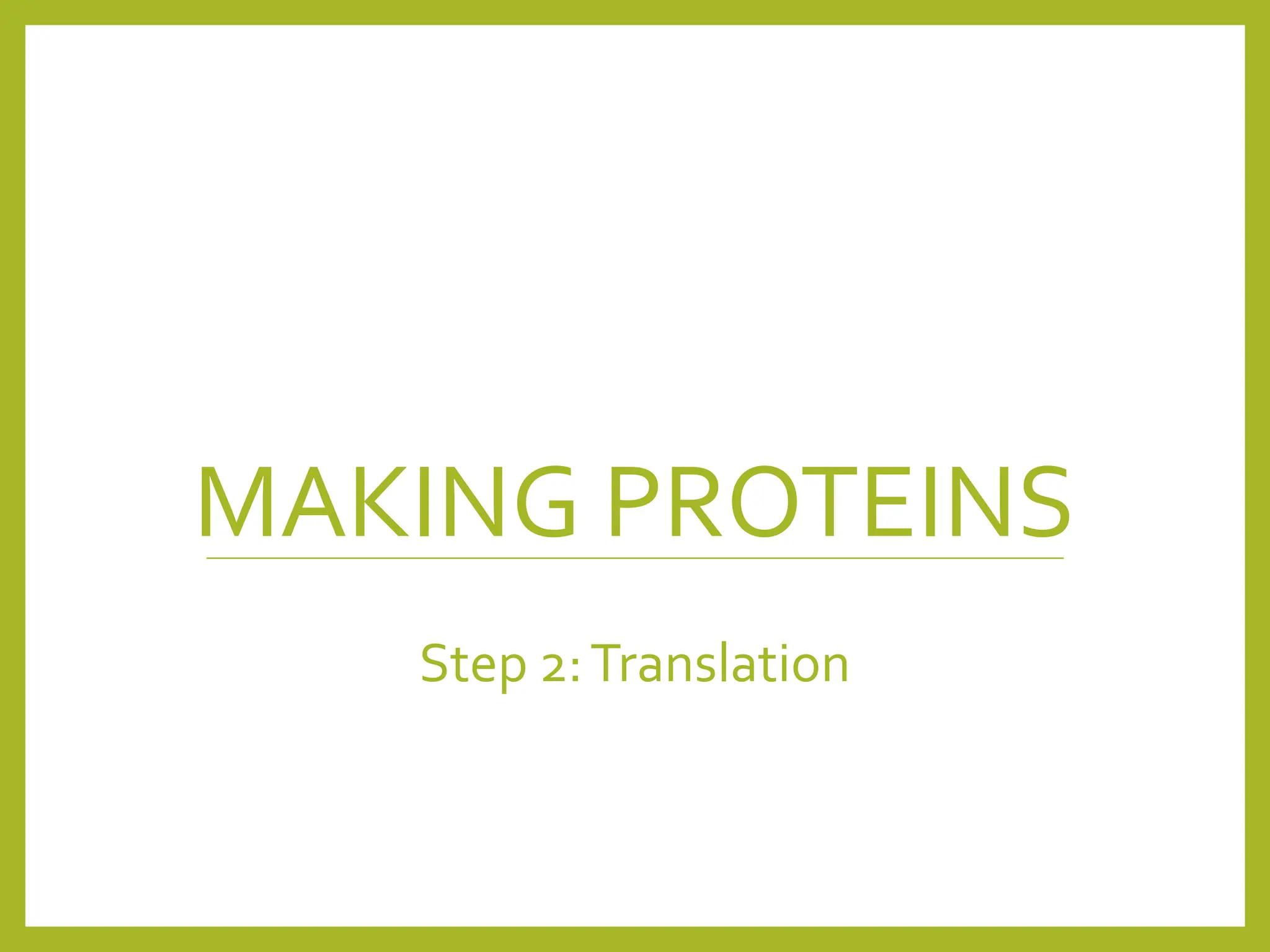 The Process of Protein Synthesis ppt.pptx