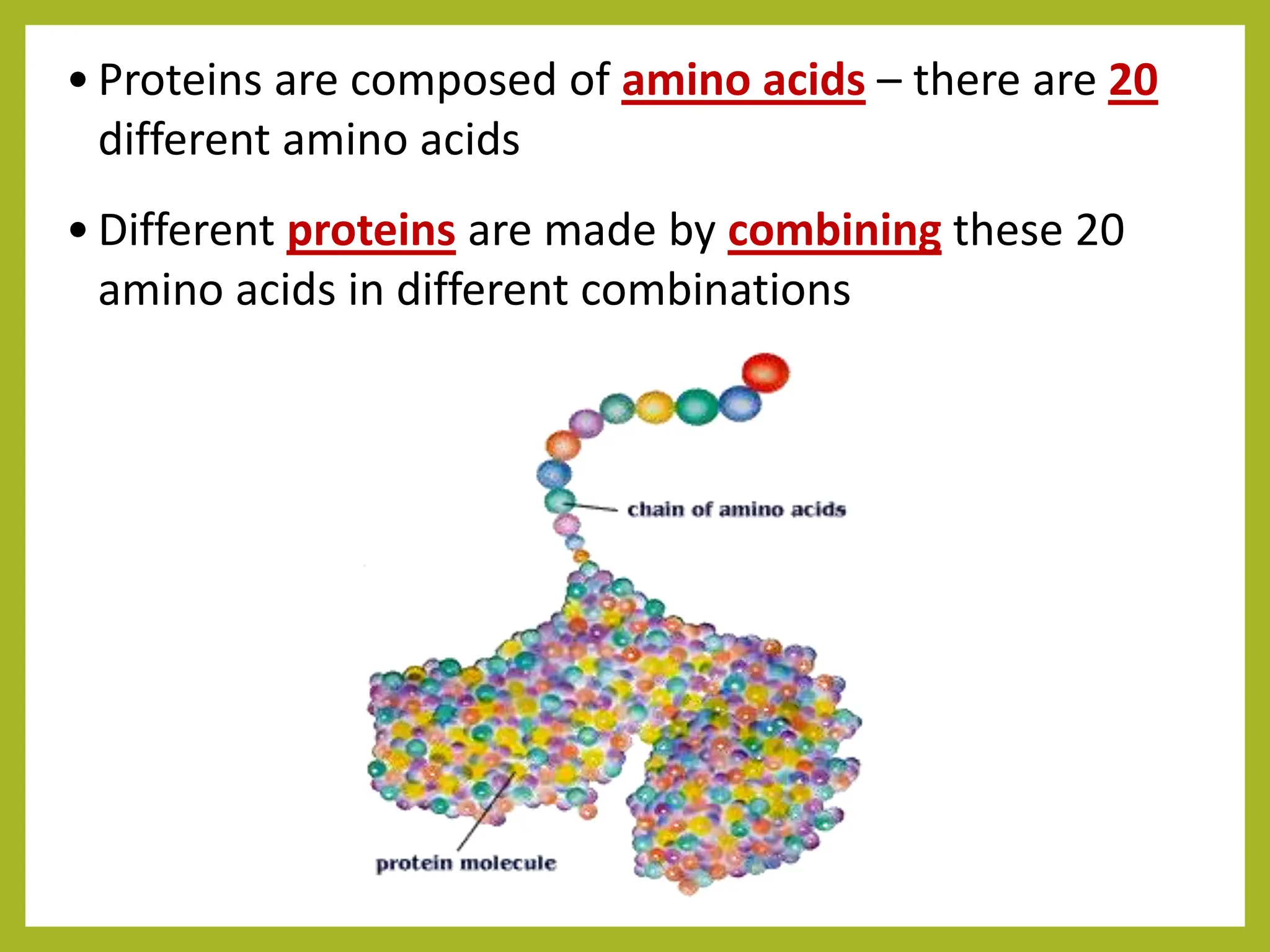 The Process of Protein Synthesis ppt.pptx