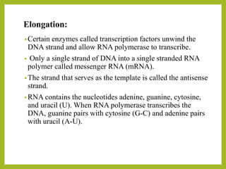 Protein Synthesis, enzymes chart PPT.pptx