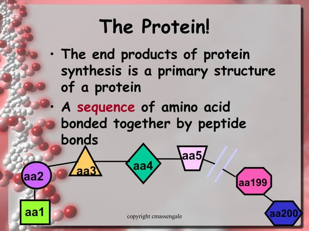Protein Synthesis ppt. Genes DNA explained | PPT