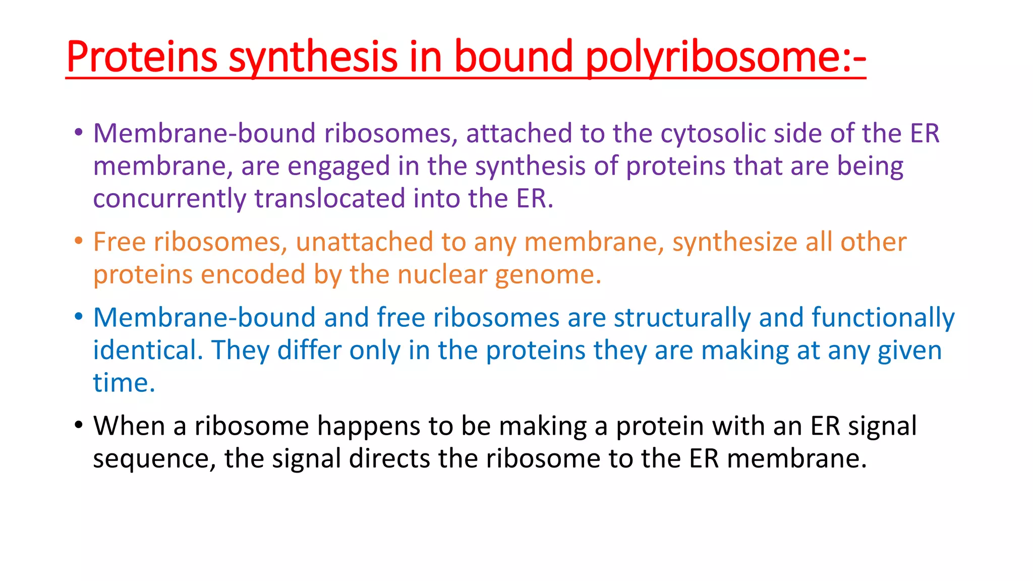 Protein synthesis. | PPTX