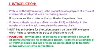 Protein synthesis. | PPTX