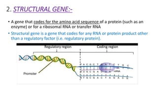 Protein synthesis. | PPTX