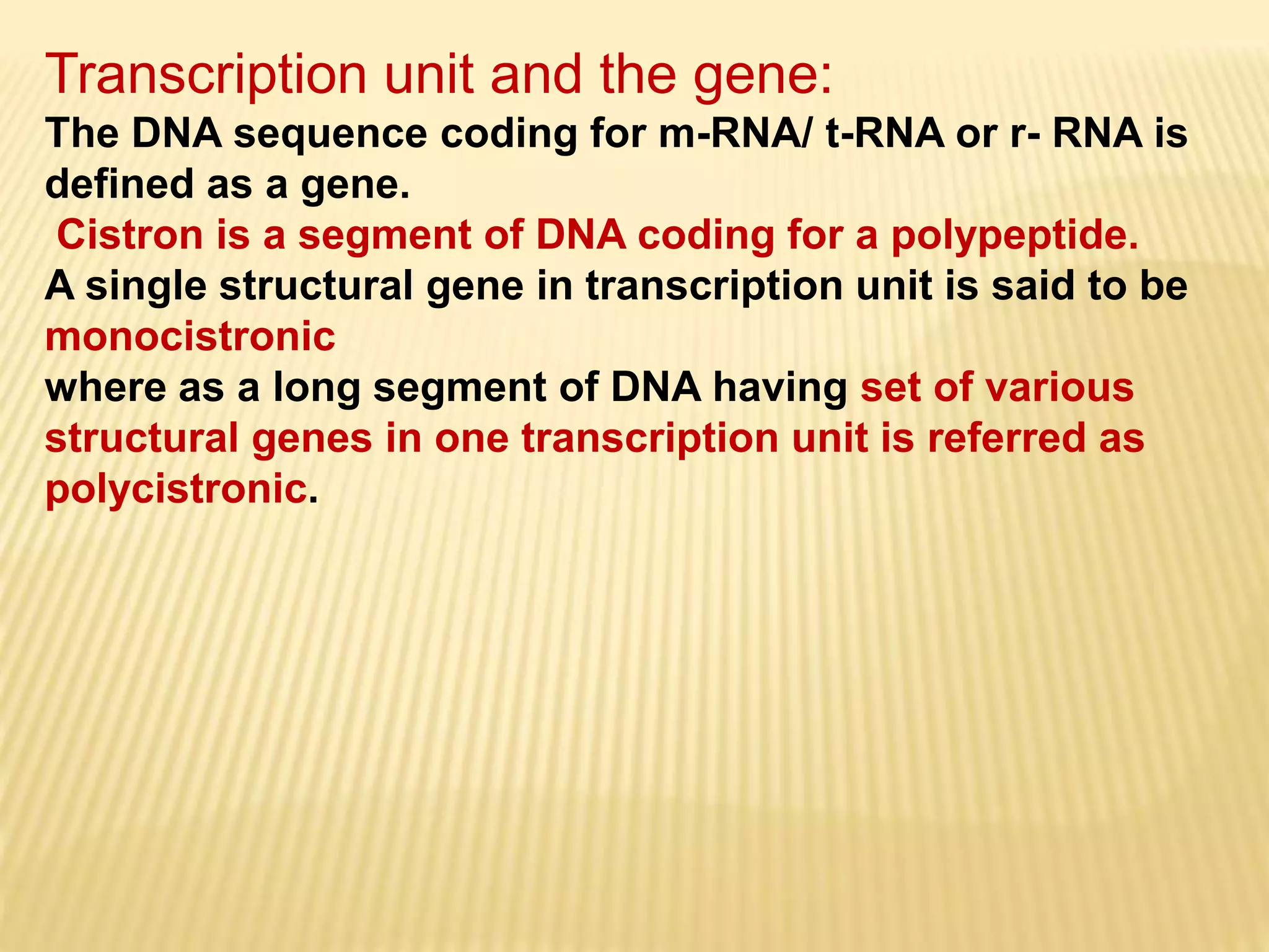 Molecular basis of inheritance-Protein synthesis part 1 ...