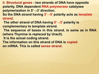 Molecular basis of inheritance-Protein synthesis part 1 ...